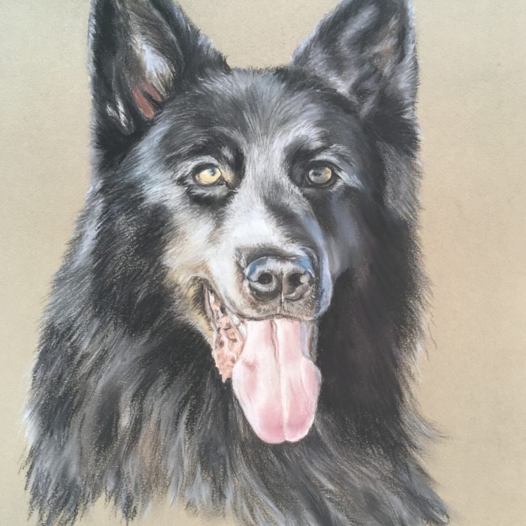 Commissions - Cathy Jefferies Art